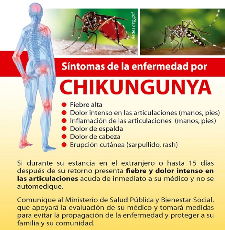 Conocé los síntomas y estate alerta ante el peligro de la Chikungunya ...